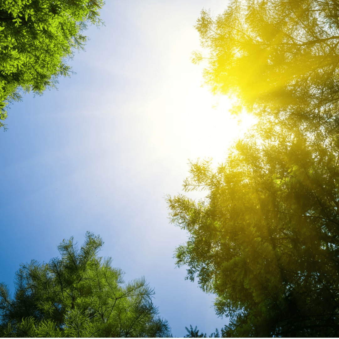 What Goes Together With A Sunny Weather? - Weather and Climate: site by ...