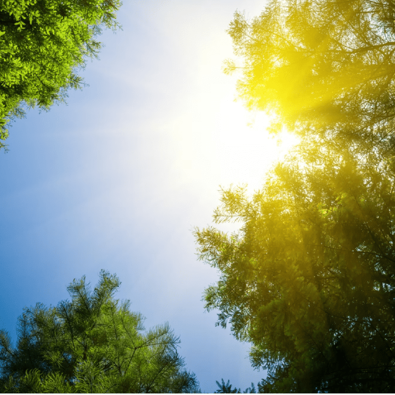 What Goes Together With A Sunny Weather? - Weather Aware and Climate ...